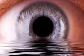 ရေတိမ် Archives - Hello Sayarwon