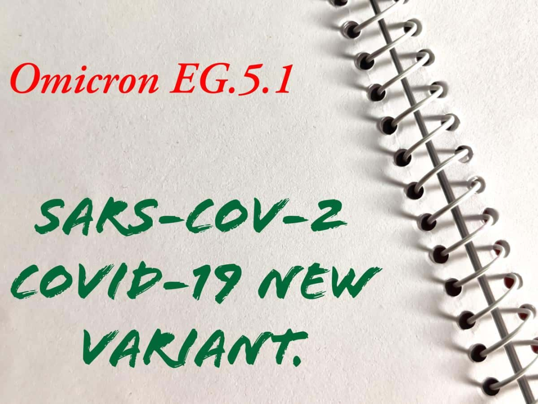 ကိုဗစ်မျိုးစိတ်သစ် EG.5.1 အကြောင်း ဘာတွေသိထားဖို့ လိုမလဲ!